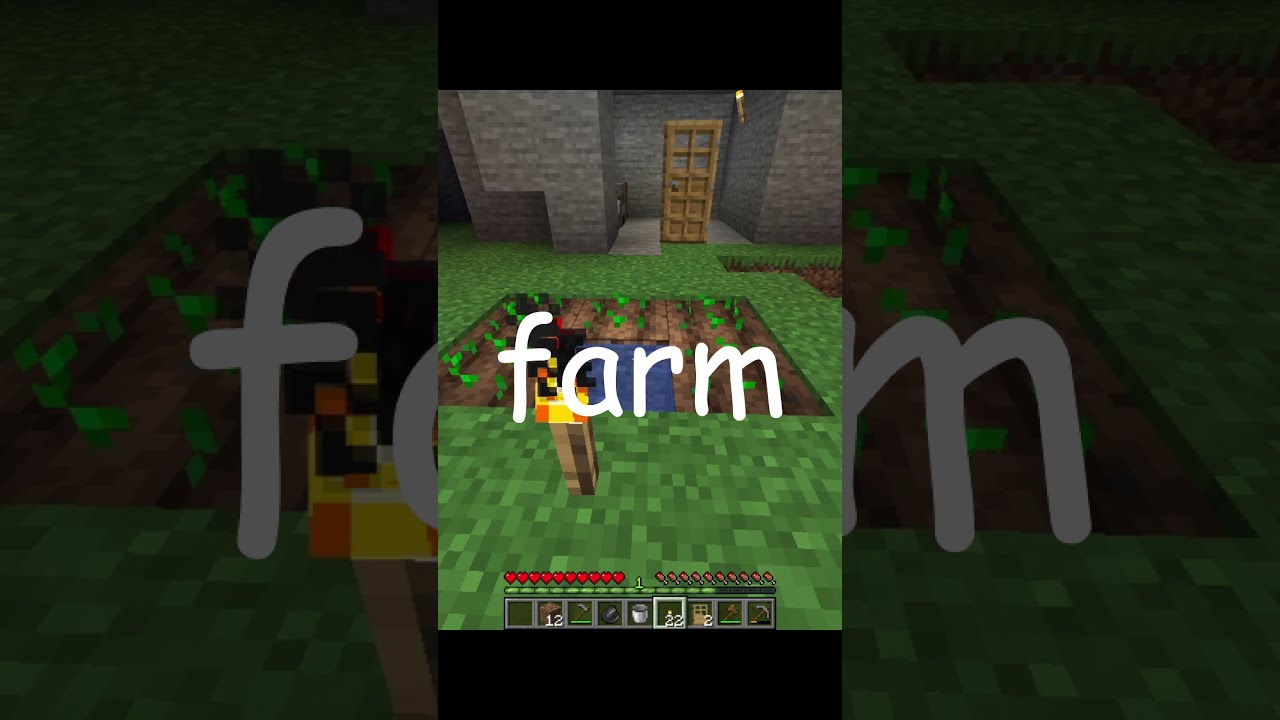 19 STUNNING seconds of making a wheat farm in minecraft - Minecraft videos