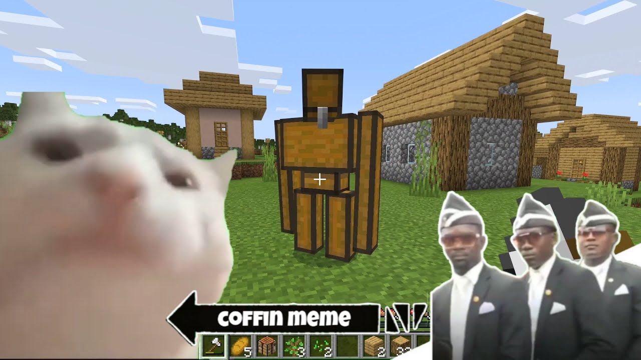 Coffin Meme but Cat is Vibing Part 2 - Minecraft - Minecraft videos