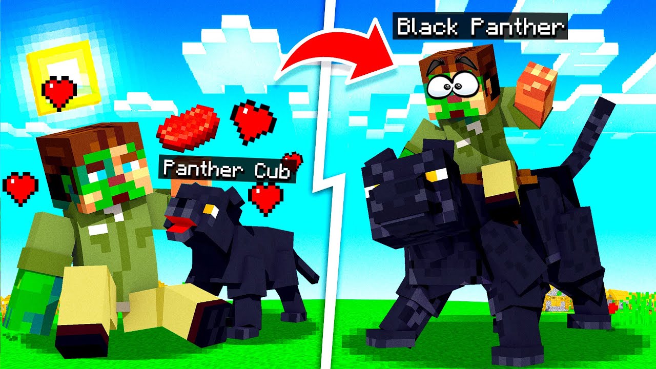 How to TAME a BLACK PANTHER in MINECRAFT! (pets) - Minecraft videos