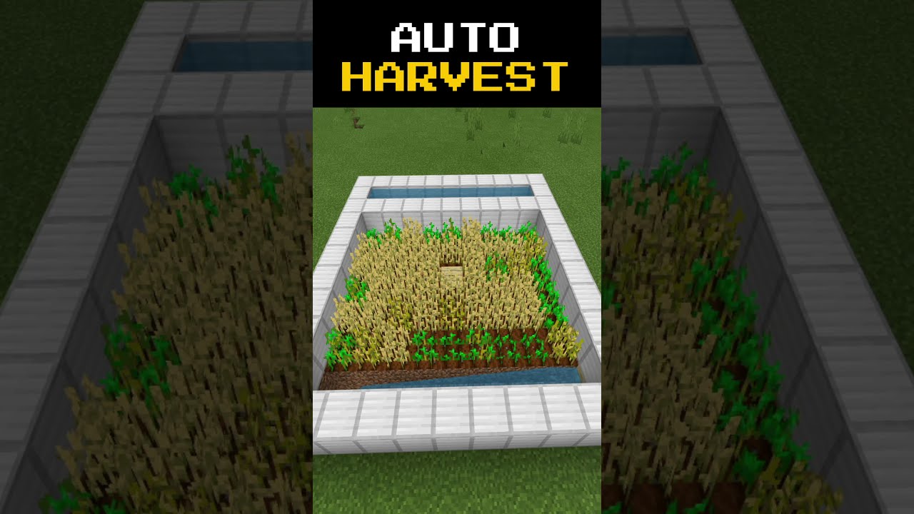 Minecraft | Auto Harvest Farm | Minecraft Bedrock Guide #Shorts ...