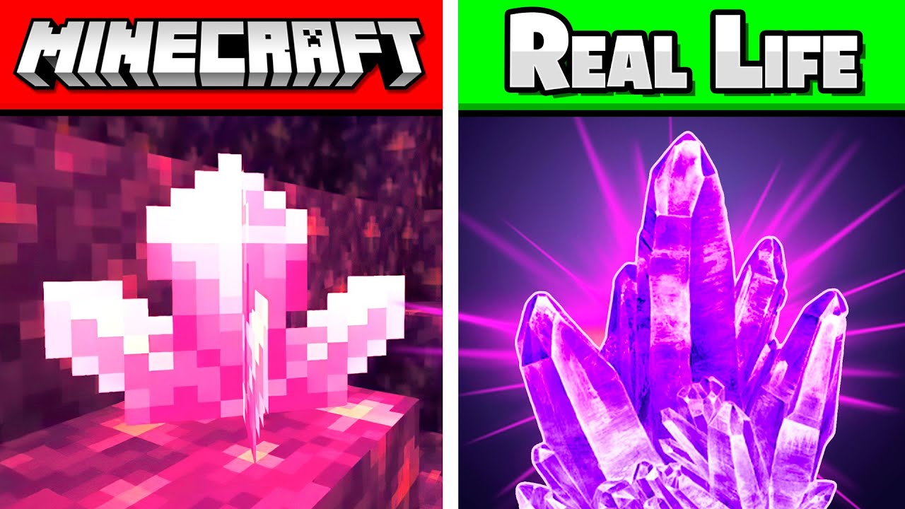 Minecraft BLOCKS That Are In REAL LIFE! (Blocks, Items, Animals ...