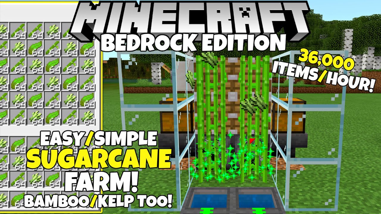 Minecraft Bedrock: EASY Sugarcane/Bamboo/Kelp Farm! 36,000 Items/Hour ...