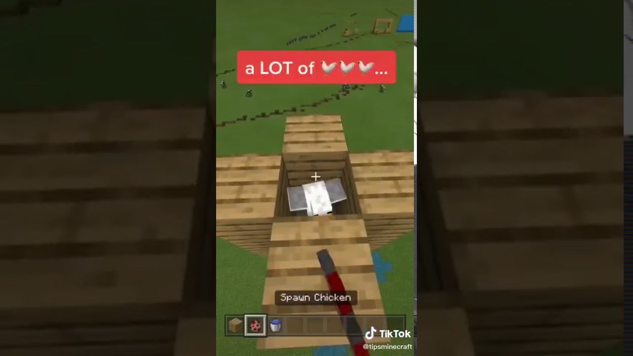 Minecraft Chicken Cannon - Minecraft videos