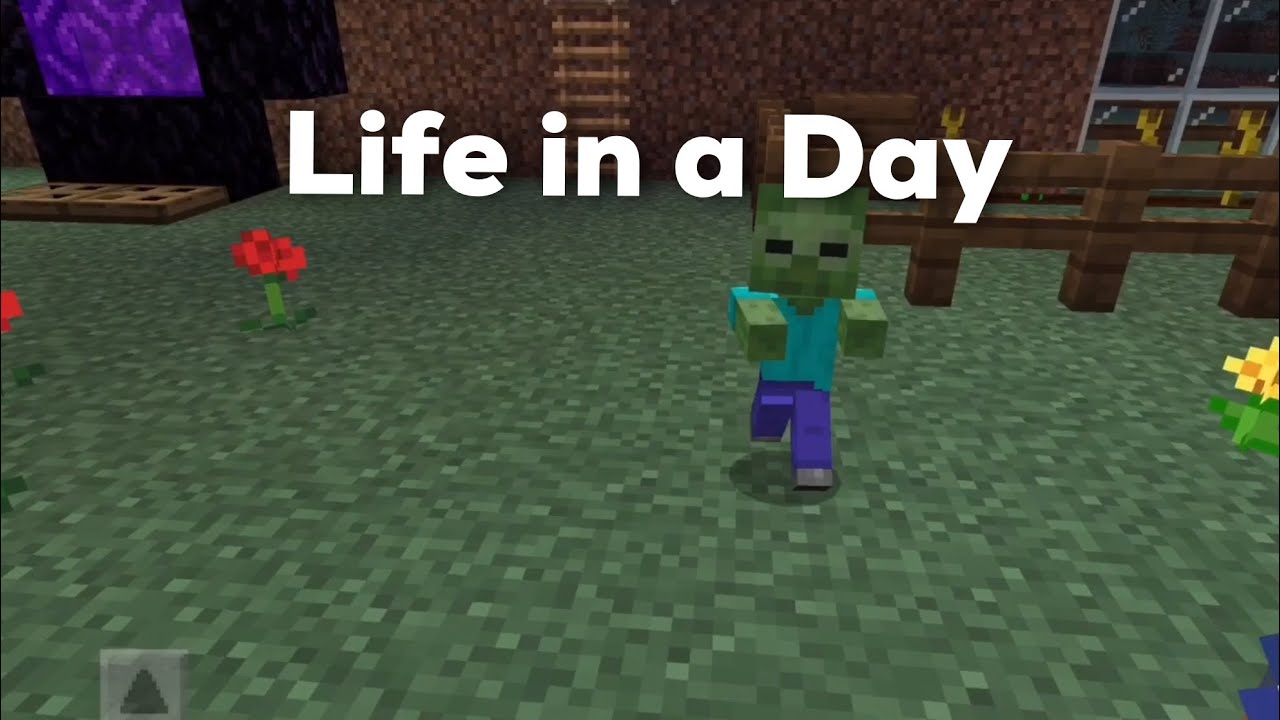 Minecraft Life in a Day - Minecraft videos