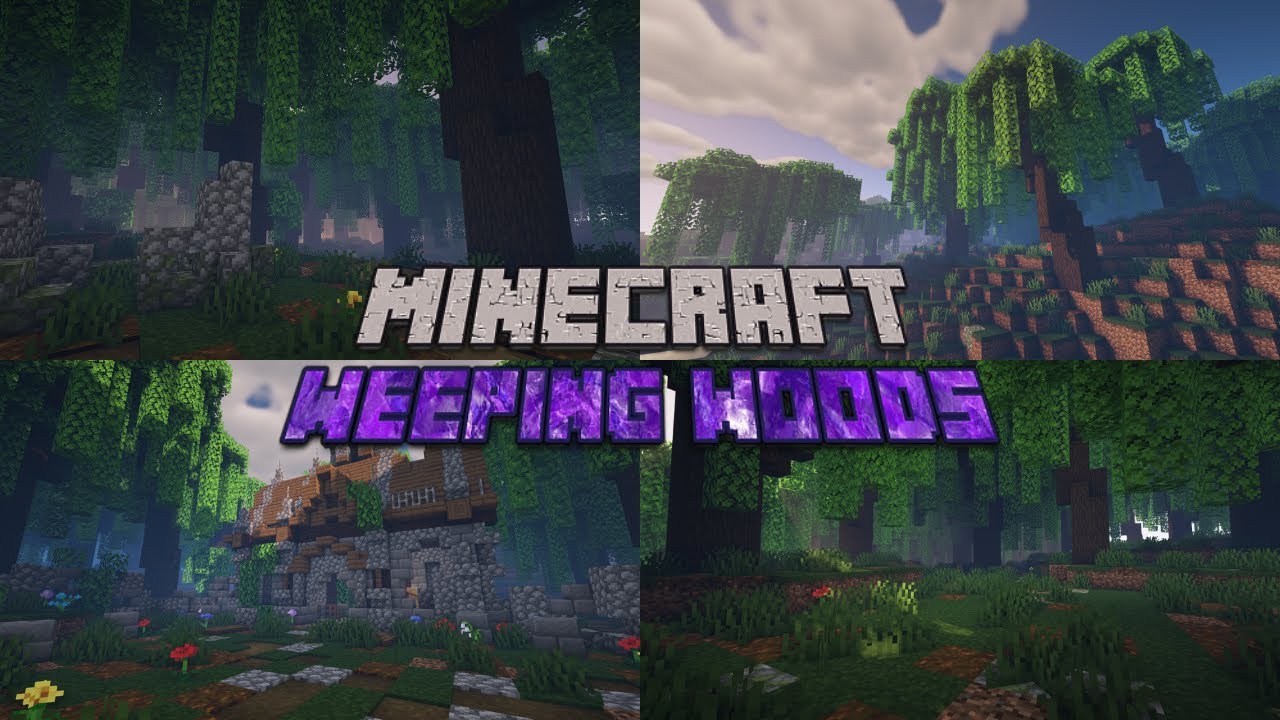 Minecraft Weeping Woods | Biome Update Ideas | Minecraft 1.17 ...