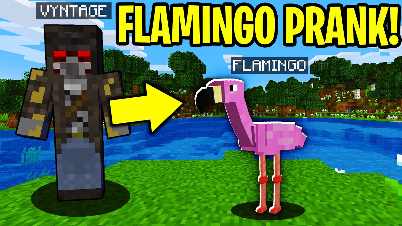 TROLLING AS A FLAMINGO IN MINECRAFT! - Minecraft videos