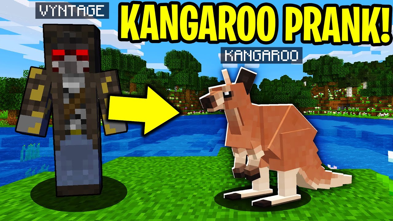 TROLLING AS A KANGAROO IN MINECRAFT! - Minecraft videos