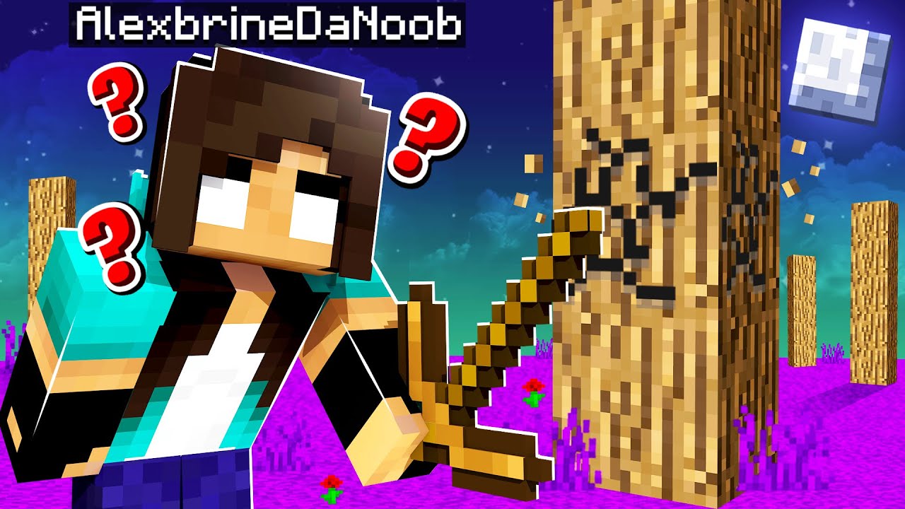 noob Girl starts NEW Minecraft Let's Play (CURSED World...) [1 ...