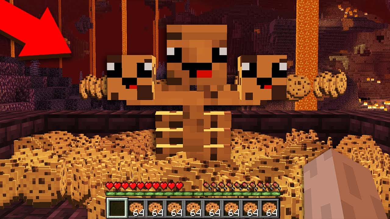 CRAZY MINECRAFT! Cookie Wither in Minecraft! Noob vs Pro - Minecraft videos