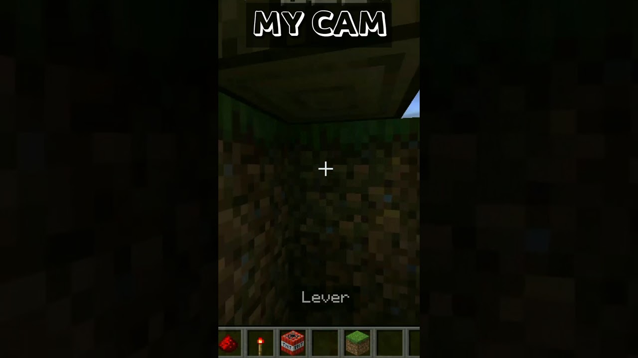 How to Make a Tree Troll Trap in Minecraft. - Minecraft videos