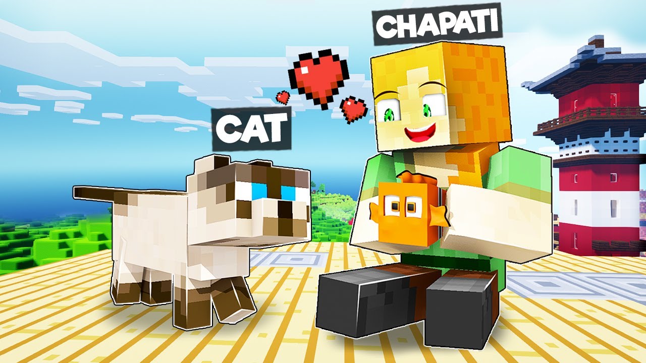I FOUND MY FIRST CAT IN DUBAI CITY | MINECRAFT - Minecraft videos