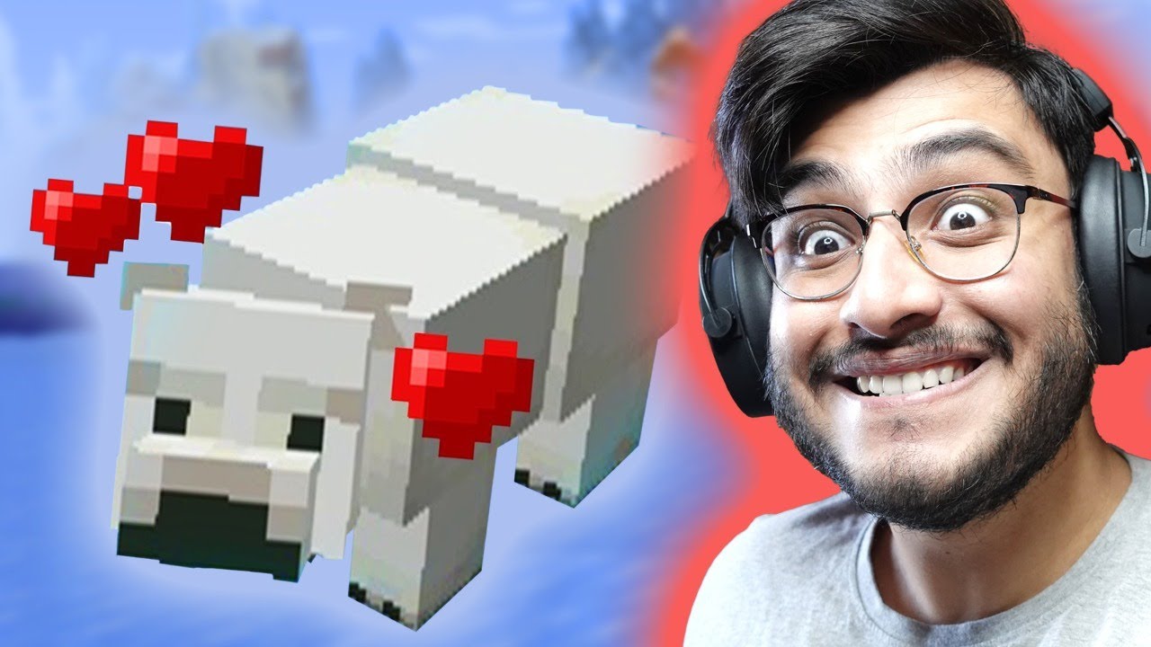 MAKING A HOUSE FOR MY POLAR BEAR IN MINECRAFT & SMP ANNOUNCEMENT ...