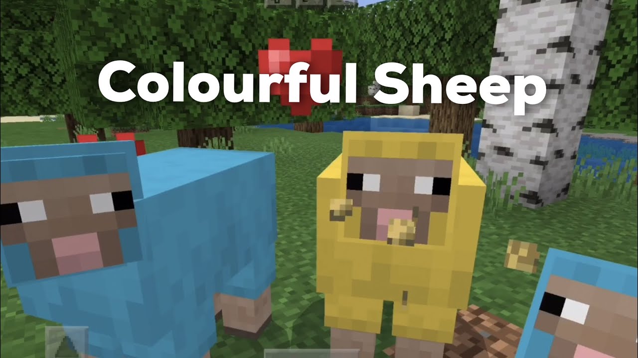 Minecraft Colourful Sheep - Minecraft videos