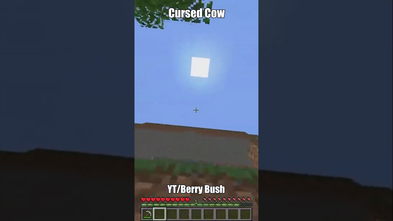 Minecraft Cursed Cow #shorts - Minecraft videos