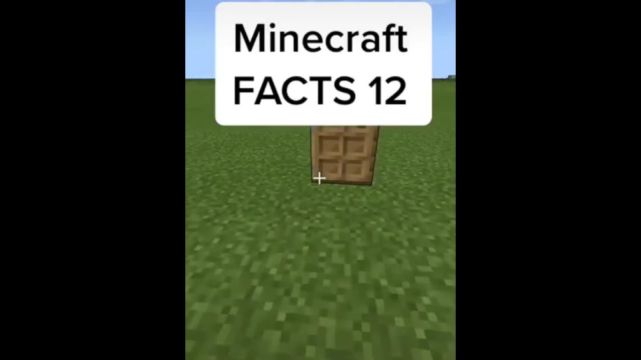 Minecraft Facts #12 - Minecraft videos