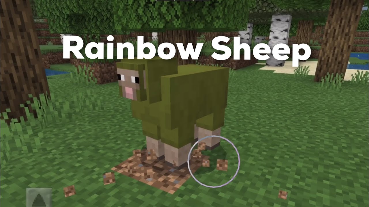 Minecraft Rainbow Sheep - Minecraft videos