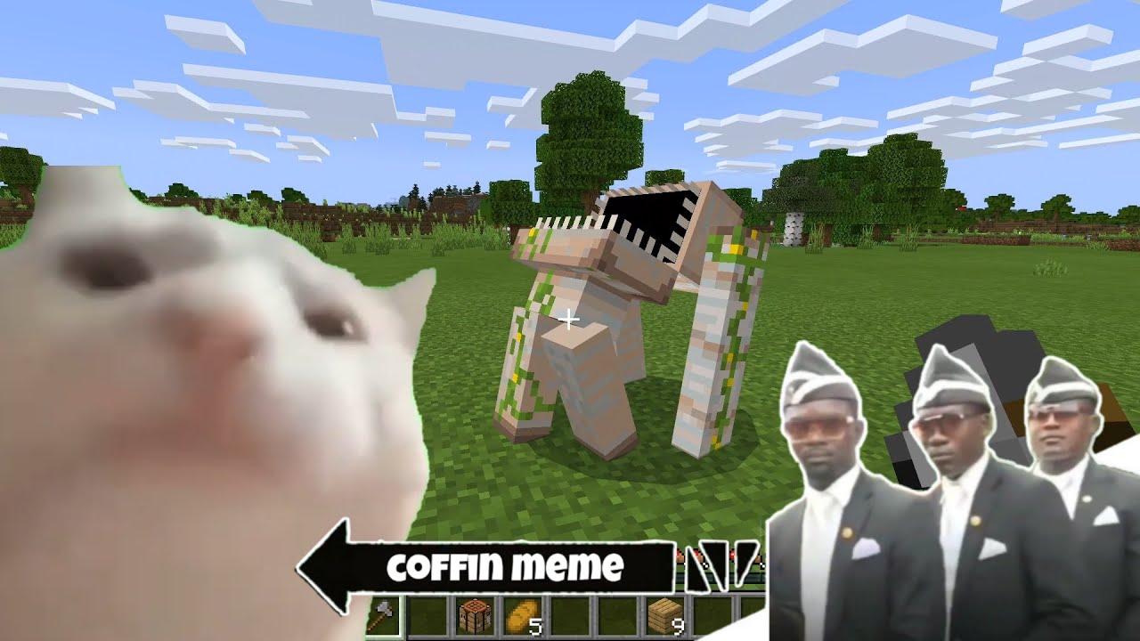 Coffin Meme but Cat is Vibing - Minecraft - Minecraft videos