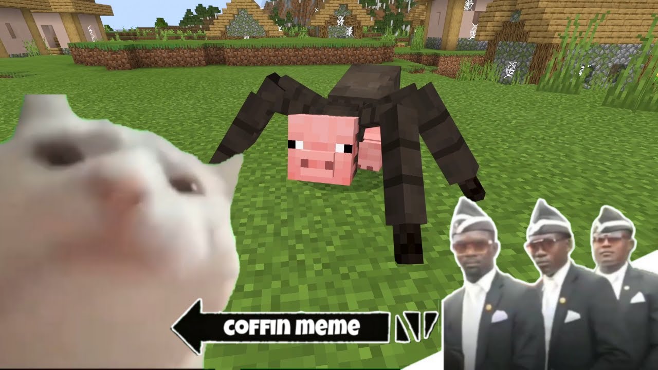 Coffin Meme but Cat is Vibing Part 4 - Minecraft - Minecraft videos
