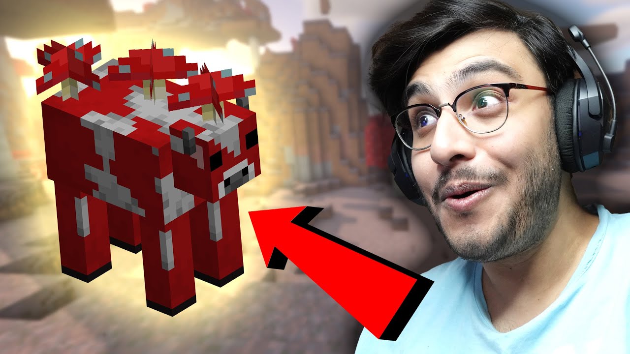 I FOUND THE RAREST BIOME IN MINECRAFT (MUSHROOM BIOME) | RAWKNEE ...