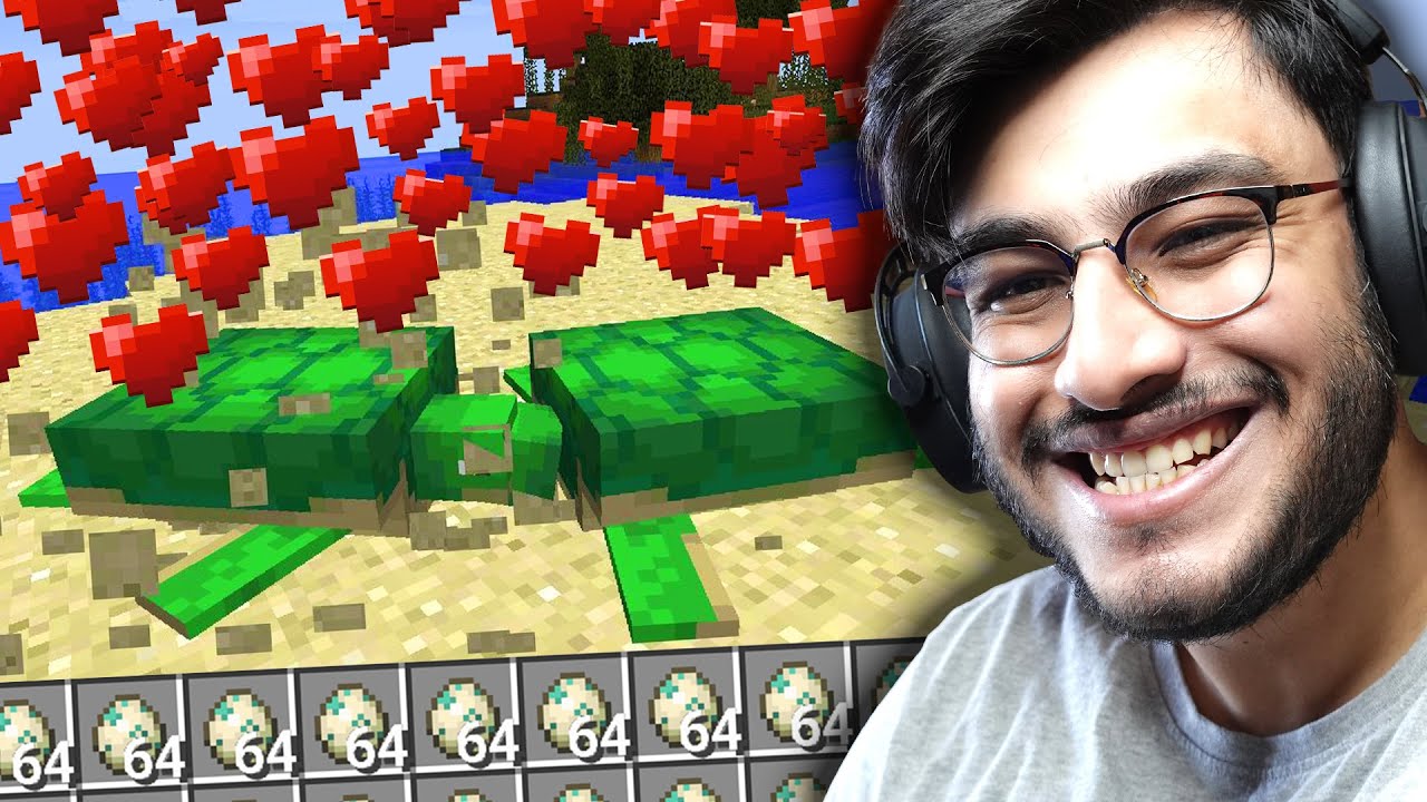 I MADE A TURTLE EGG FARM IN MINECRAFT, BABY TURTLES SOON! - RAWKNEE ...