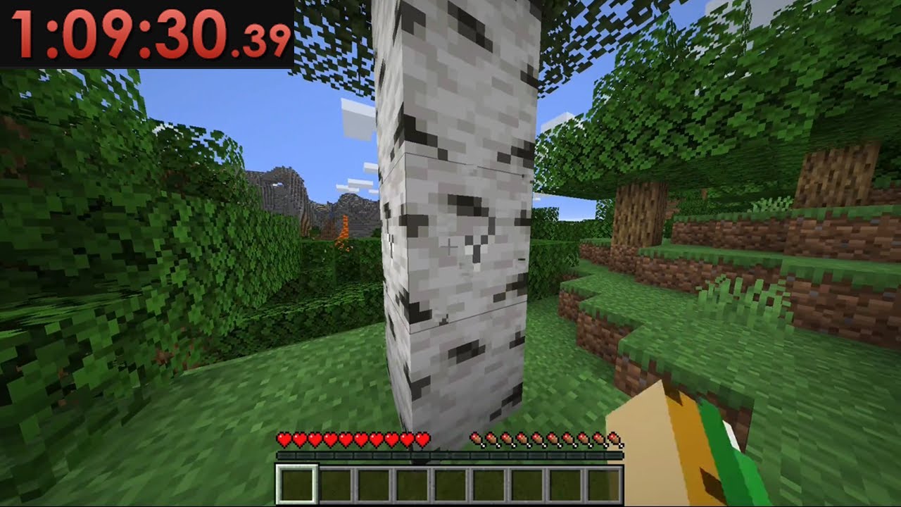 JUST A COMPLETELY NORMAL MINECRAFT RACE PLEASE IGNORE - Minecraft videos