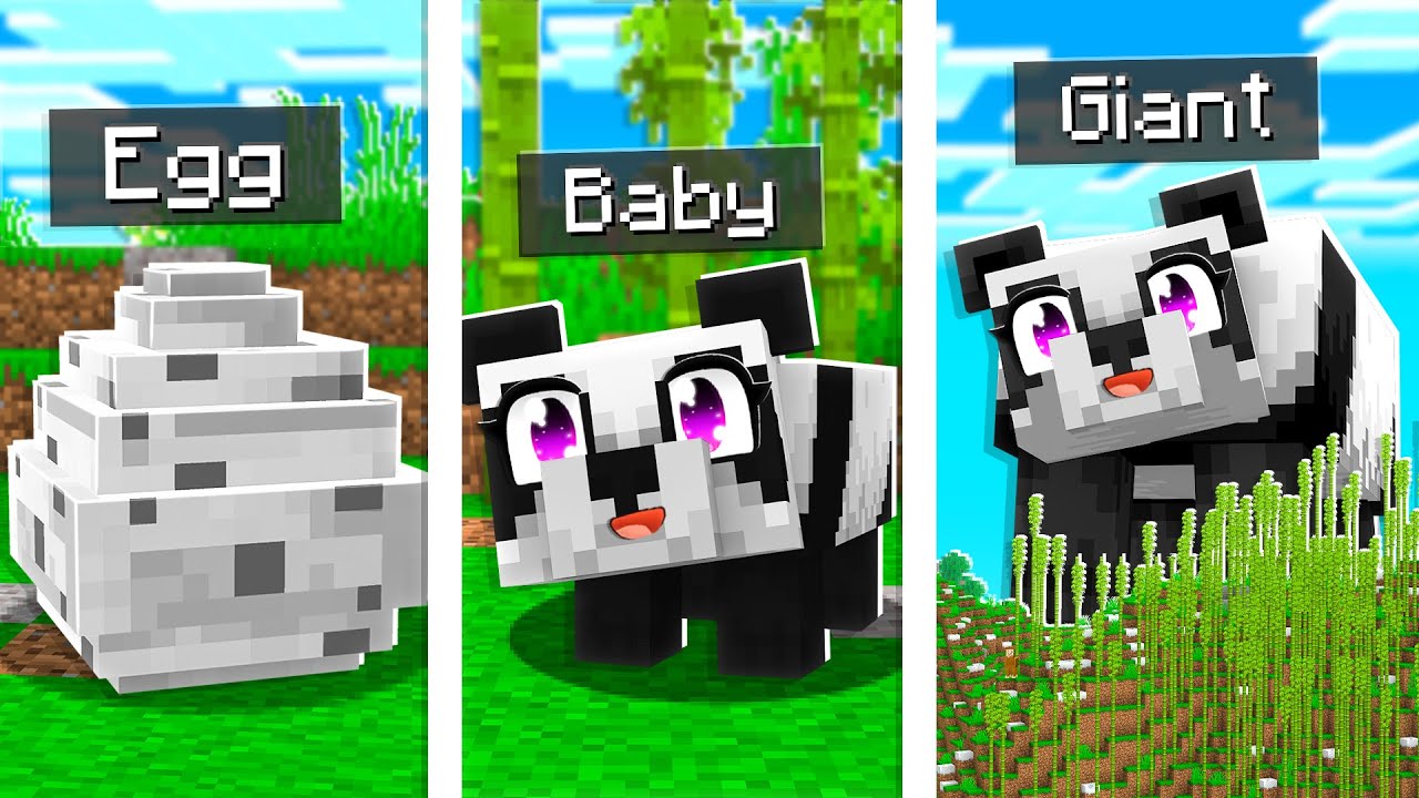 5 BEST Pets to Tame in Minecraft! - Minecraft videos