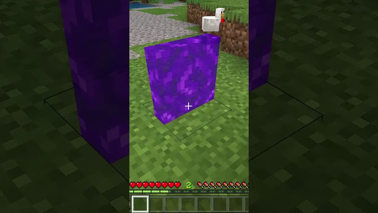 Fishing in Minecraft... wait nether portal what? - Minecraft videos