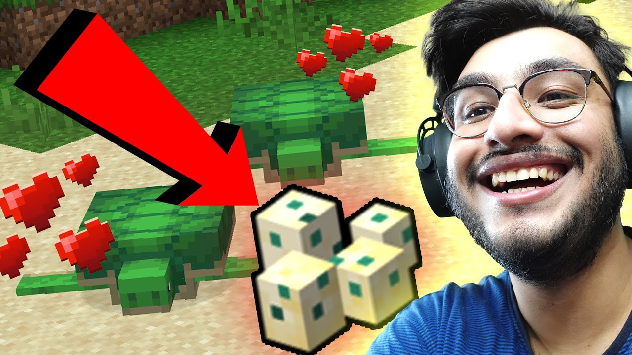 MY MINECRAFT TURTLES ARE HAVING BABIES FINALLY! | RAWKNEE - Minecraft ...