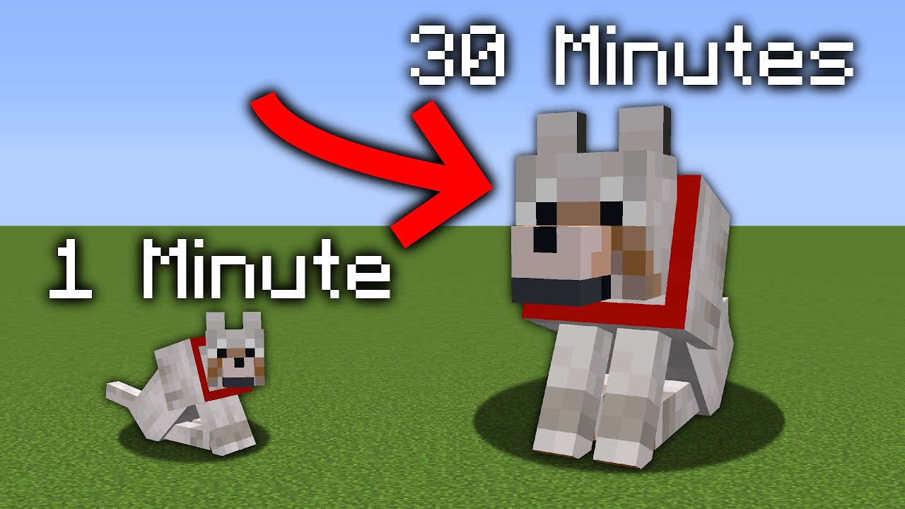Minecraft But The Mobs Grow Bigger Every Minute Minecraft Videos
