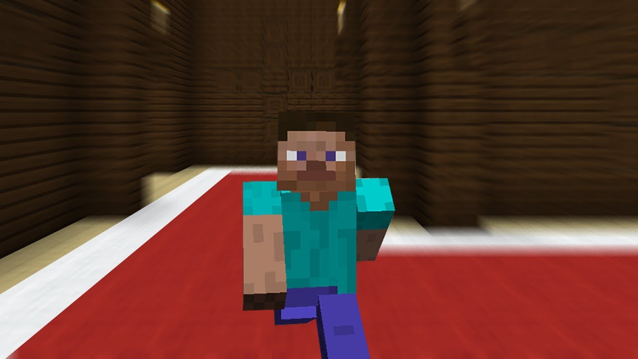 POV of a VEX in MINECRAFT - Minecraft videos