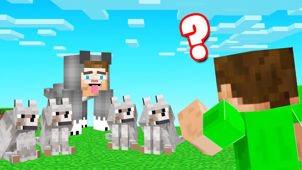 Which WOLF Is The REAL SLOGO!? (Minecraft Guess Who) - Minecraft videos