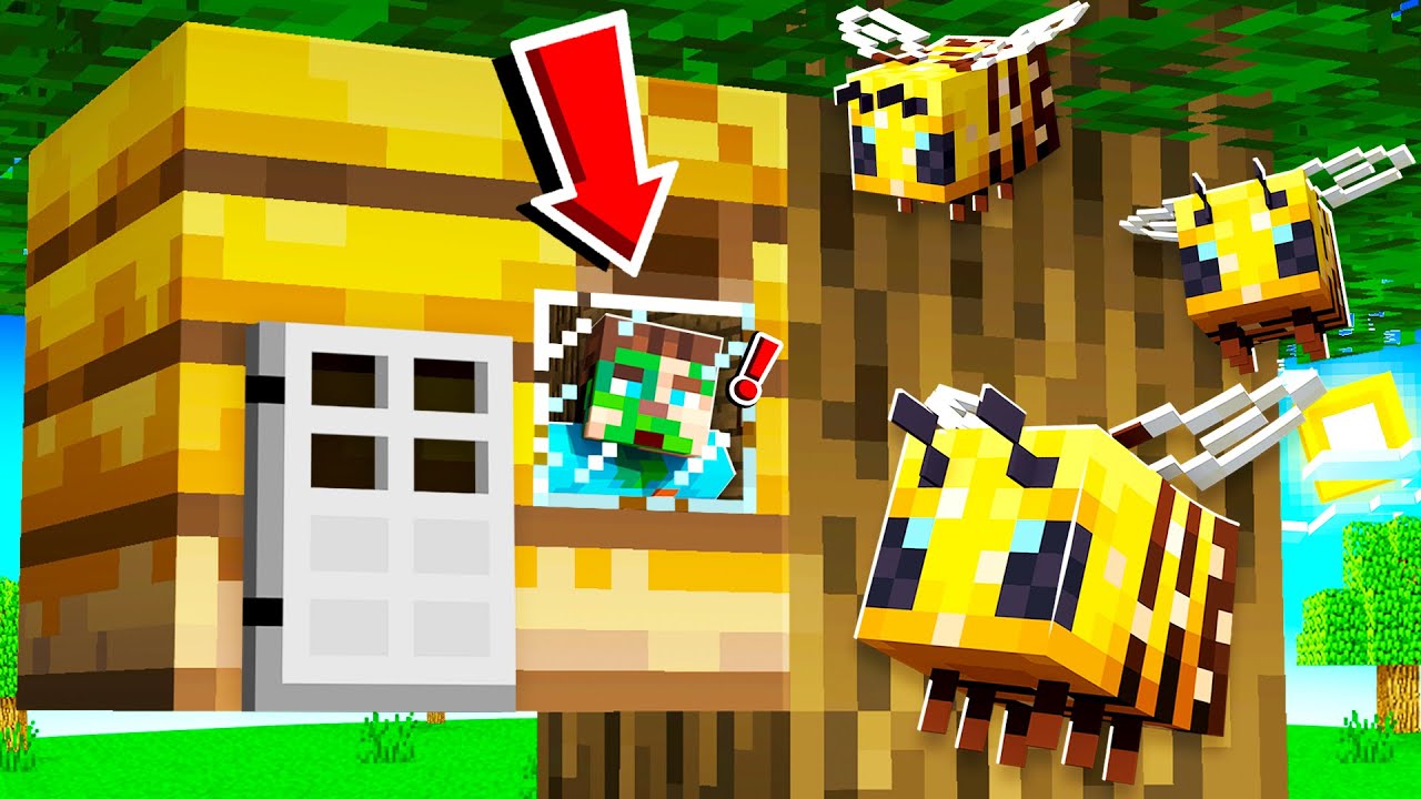How to LIVE inside a BEE HIVE in Minecraft! - Minecraft videos