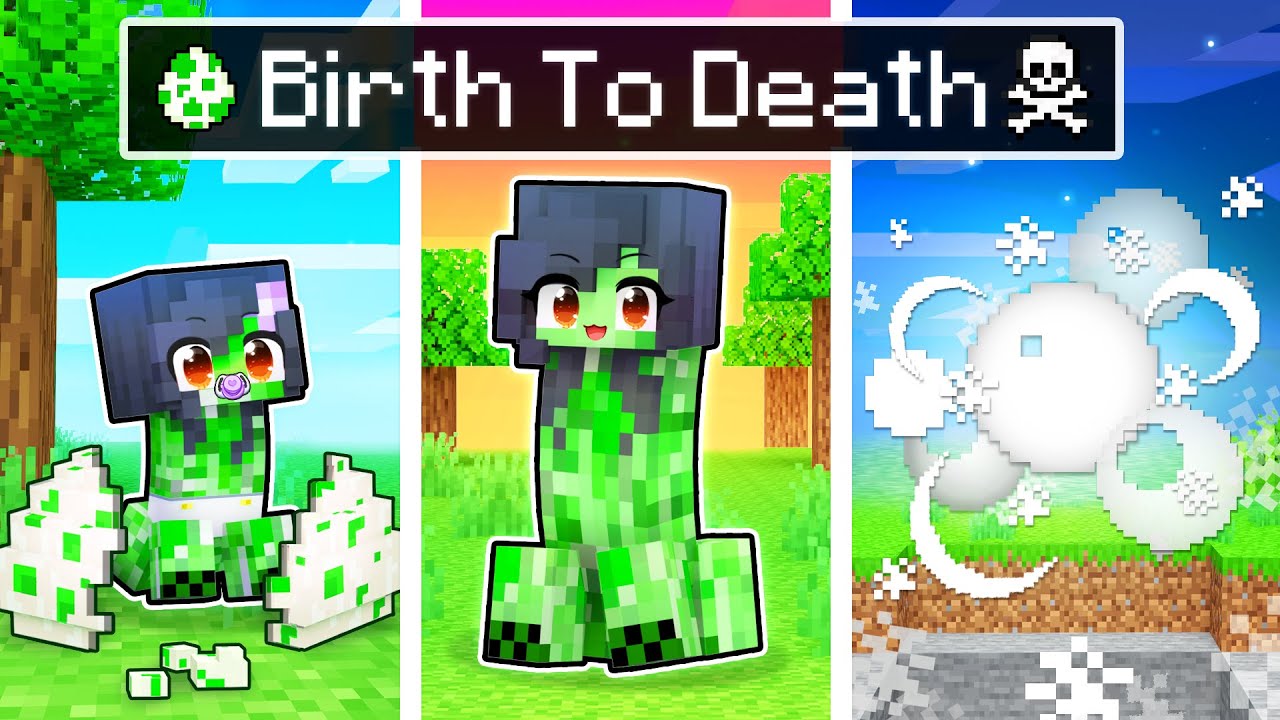 The BIRTH to DEATH of a Minecraft Creeper! - Minecraft videos