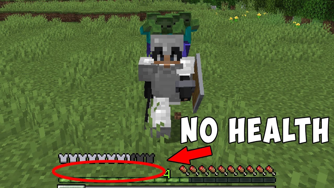 Minecraft, But We Can't See Our Health... - Minecraft videos