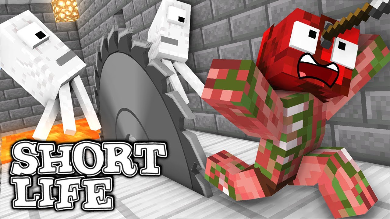 Monster School : SHORT LIFE CHALLENGE - New Minecraft Animation ...
