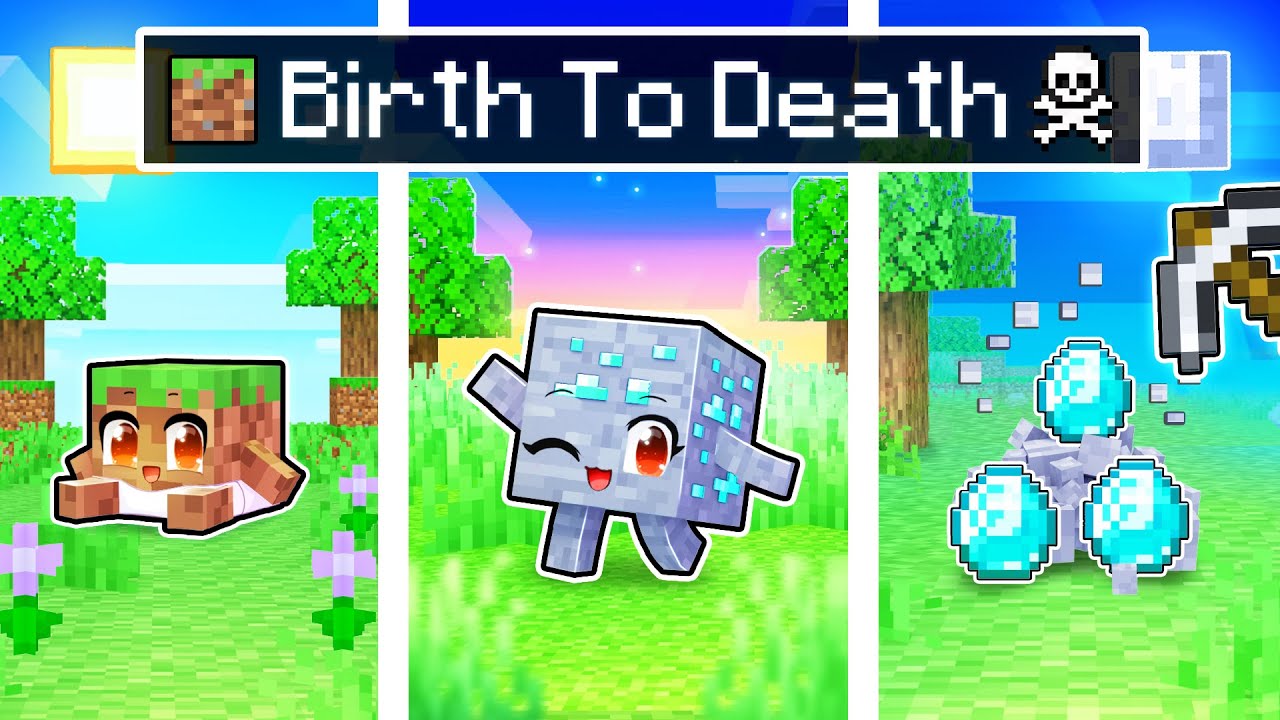 BIRTH To DEATH of a Minecraft BLOCK! - Minecraft videos