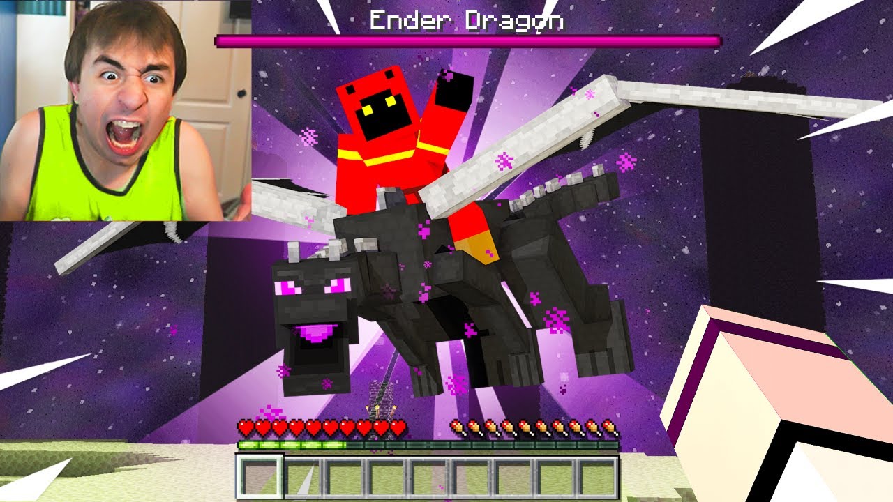 Minecraft, But You Can Fly Every Mob... - Minecraft videos