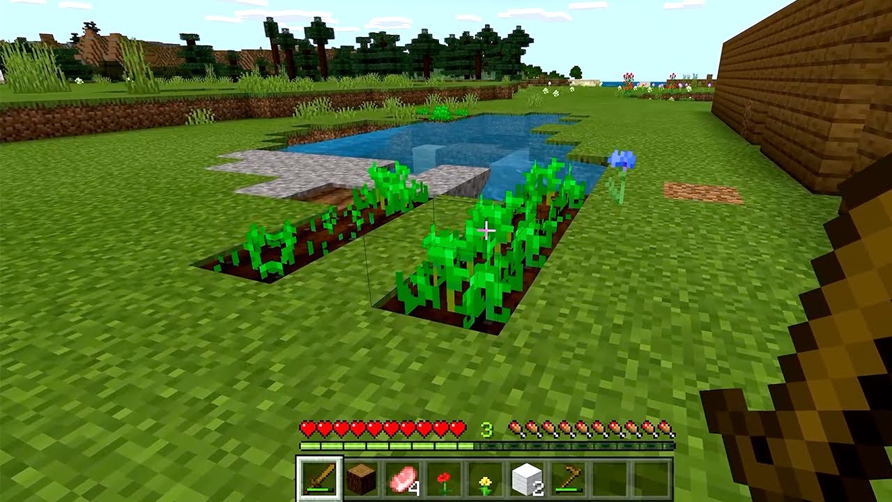 Minecraft Growing a Garden and... - Minecraft videos