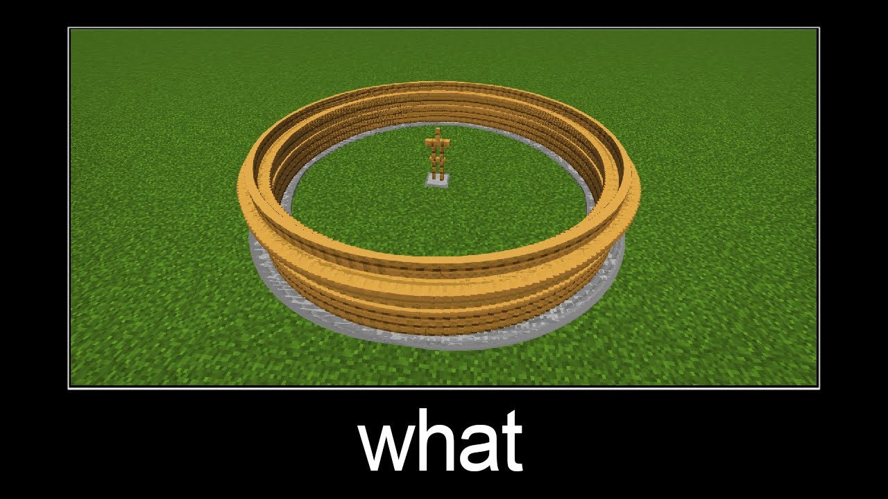 Minecraft wait what meme part 74 (circle in minecraft) - Minecraft videos