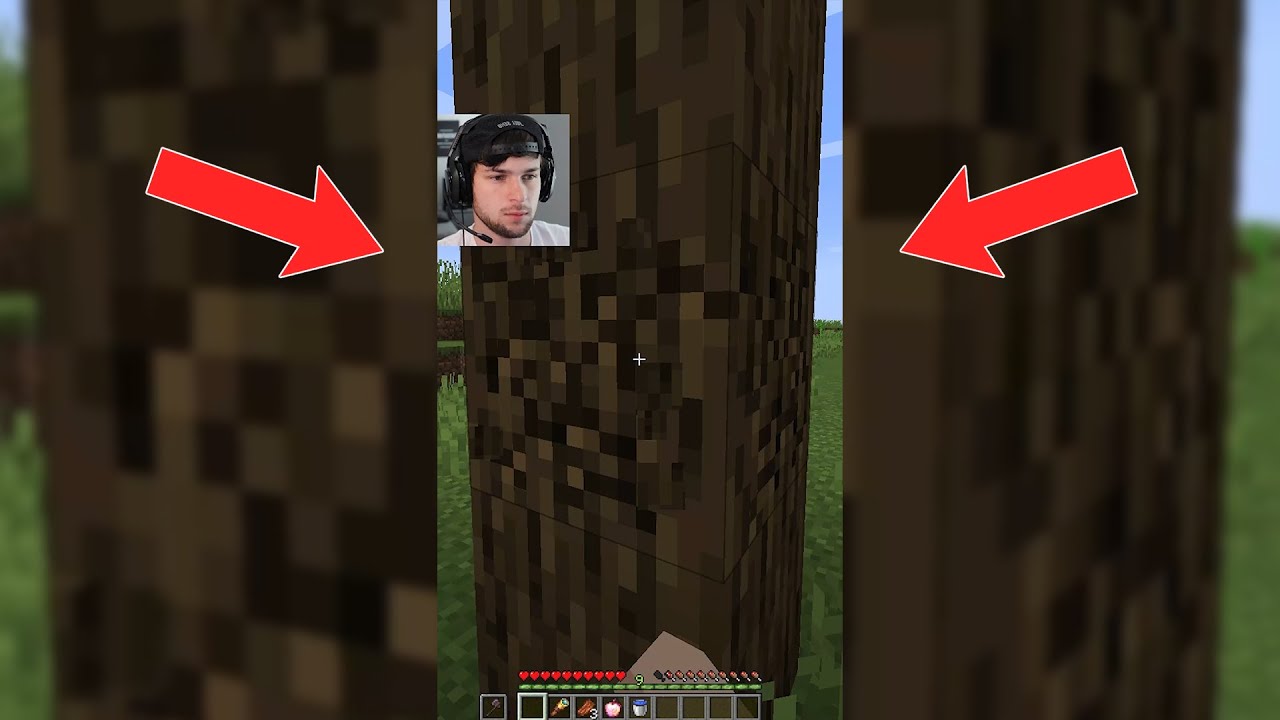 Minecraft But Cursed..... #shorts - Minecraft videos