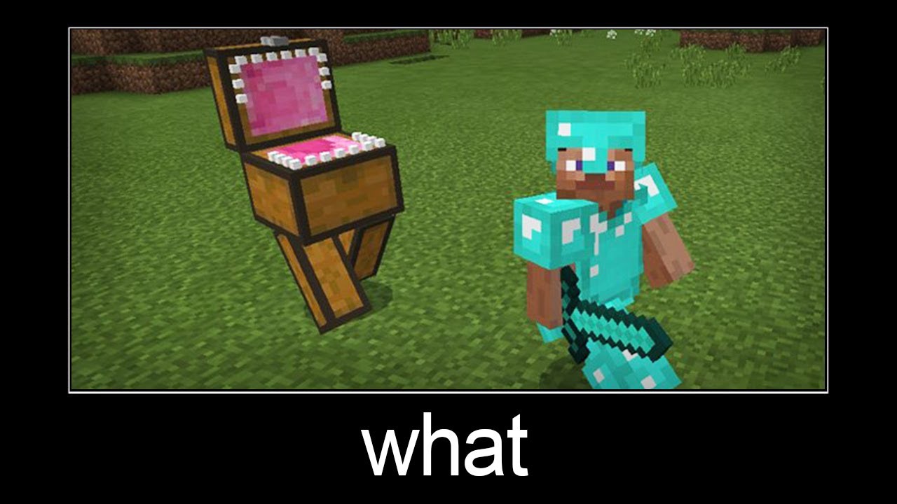 Minecraft wait what meme part 82 (living chest) - Minecraft videos