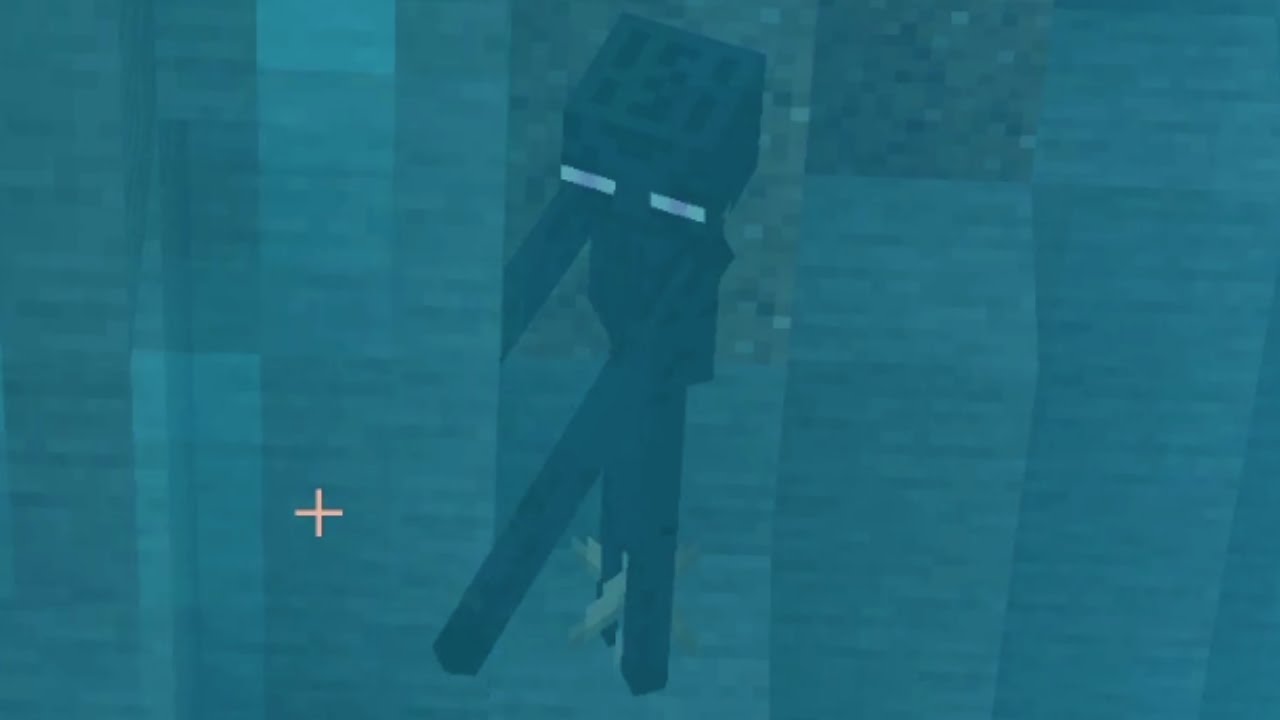 Philza finds the Rarest Enderman in Minecraft - Minecraft videos