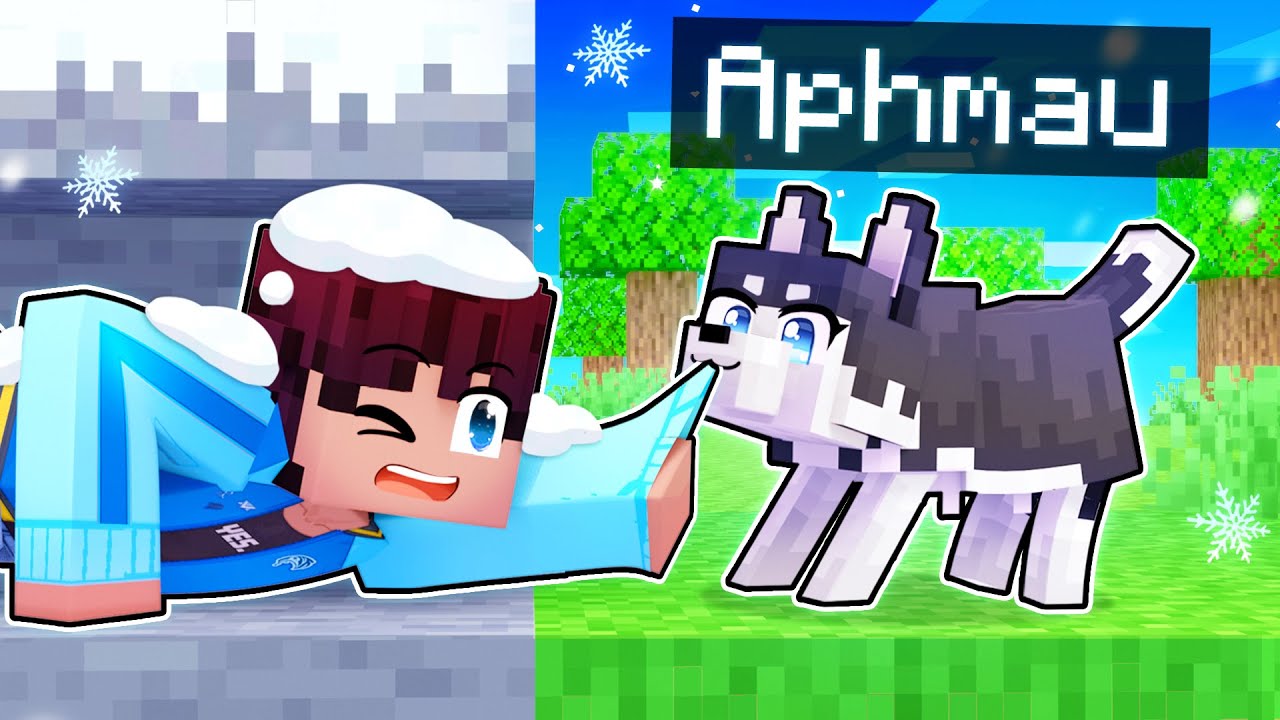Playing As A BRAVE Husky In Minecraft! - Minecraft videos