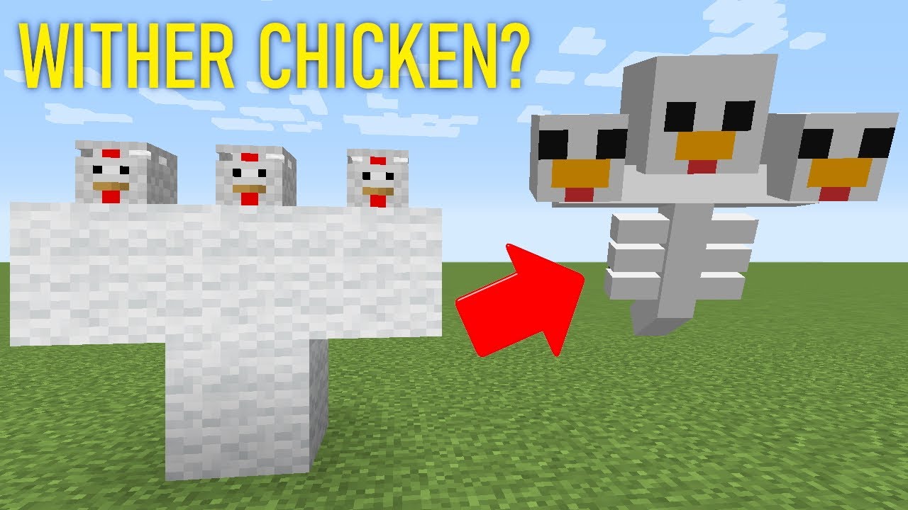 WHAT!? WITHER-CHICKEN in Minecraft? - Minecraft videos