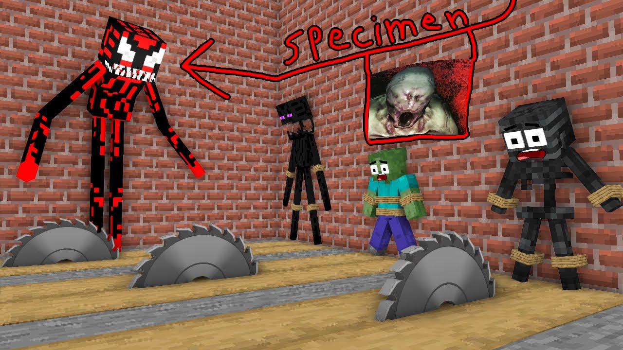 Monster School : MINECRAFT ANIMATION - Minecraft videos