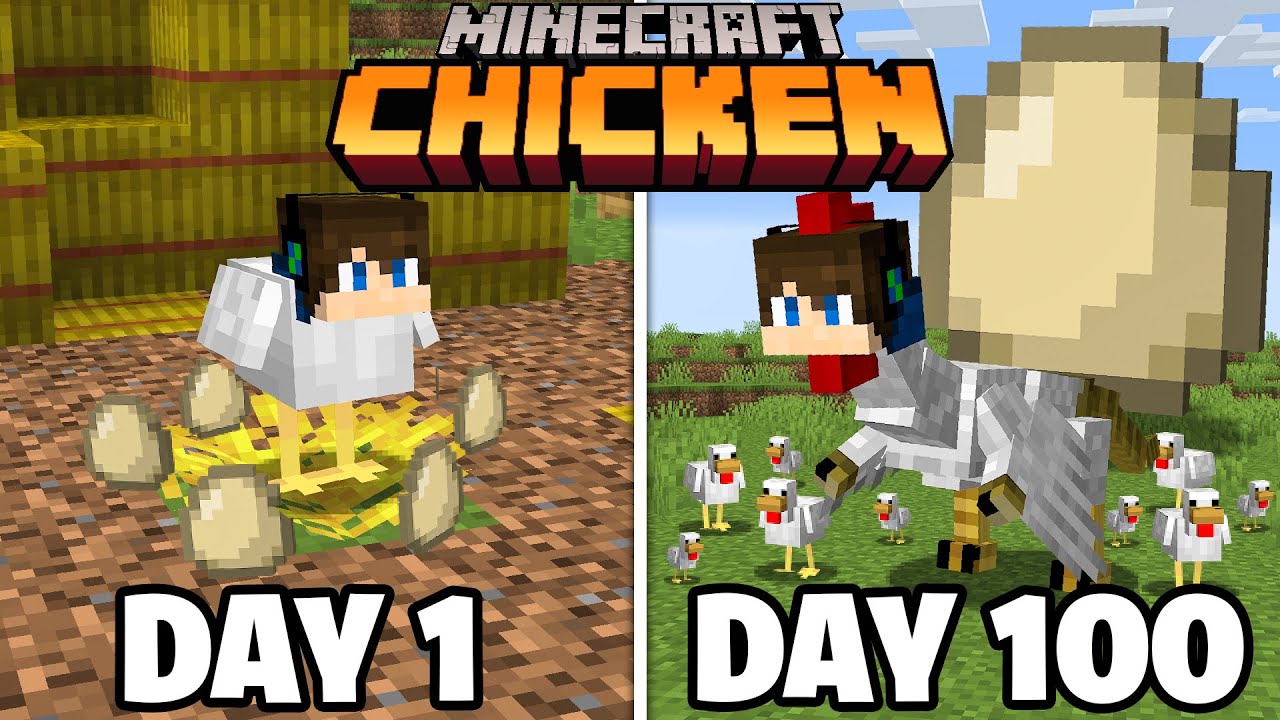 I Survived 100 Days as a Chicken in Minecraft - Minecraft videos