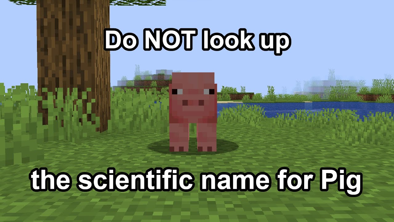 When the Minecraft is sus again - Minecraft videos