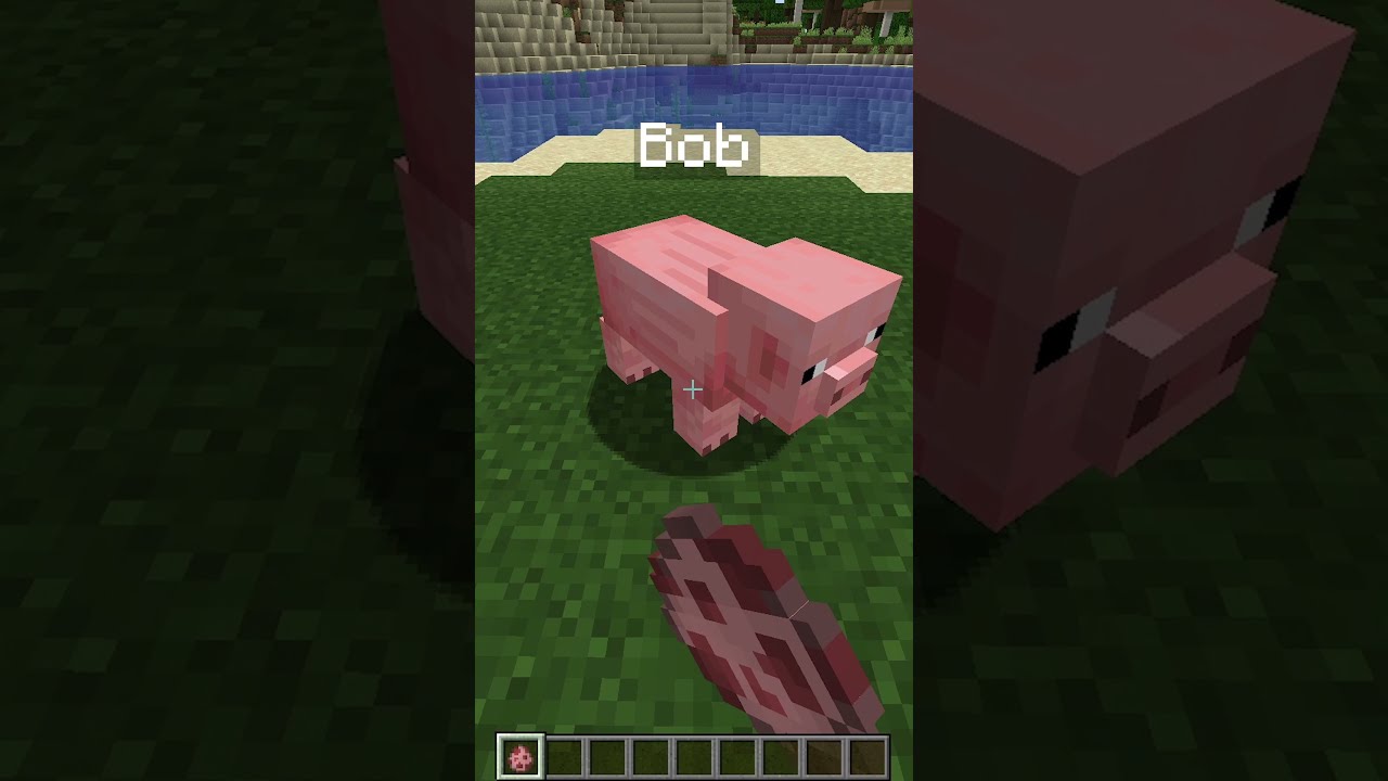 Minecraft Renaming Trick Minecraft Videos