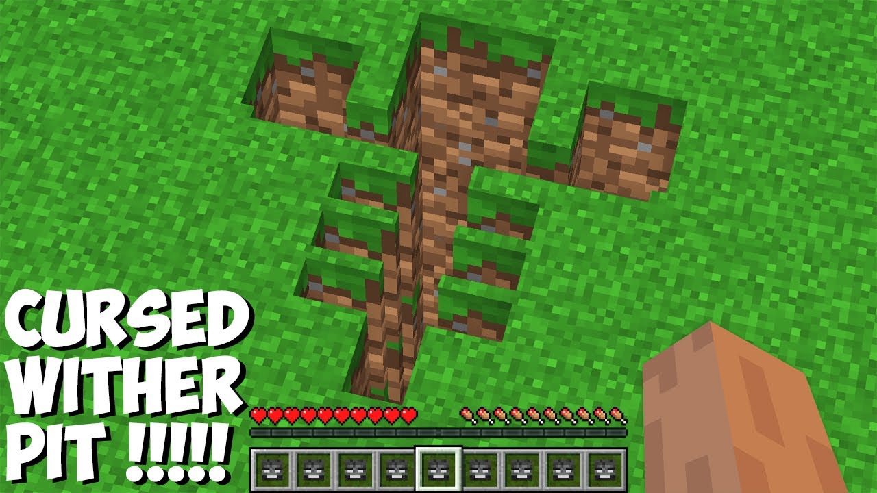Where DOES THIS CURSED WITHER PIT LEAD in Minecraft ? SECRET WITHER ...
