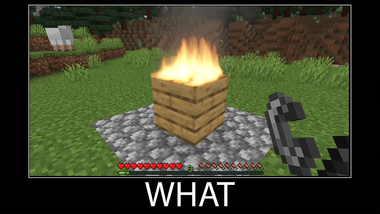 Minecraft wait what meme part 38 realistic minecraft fire - Minecraft ...